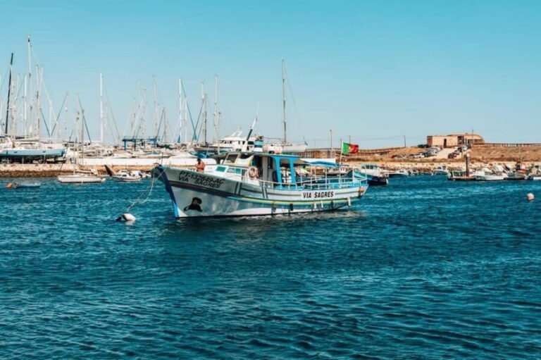 Lagos Lunch Coastal Cruise - Who Should Book This Tour?