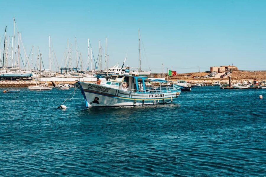 Lagos Lunch Coastal Cruise - Who Should Book This Tour?