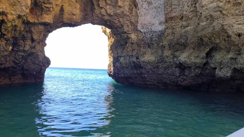 Lagos: Privat Trip up to 11 Pax to Grottos Ponta da Piedade - Who Should Consider This Tour?