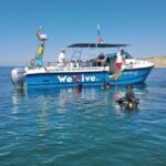 Lagos: Scuba Diving Experience for Beginners - Why We Think This Experience Offers Good Value
