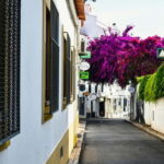 Lagos to Sagres Coastline & City Private Guided Tour - The Value of This Tour