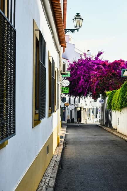 Lagos to Sagres Coastline & City Private Guided Tour - The Value of This Tour