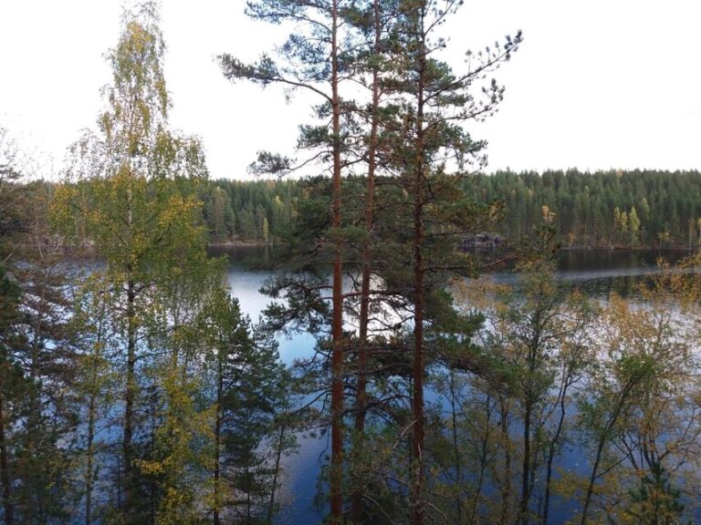 Lahti: Guided Hiking Tour to Kalliojärvi Lake - Who Will Appreciate This Tour?