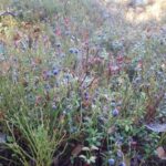 Lahti: Guided Nature Walk The Heart of The Swamp - The Walk and What It Feels Like