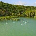 Lake Balaton: Paddle Board Tour of Tihany National Park - Authentic Experiences & Traveler Insights