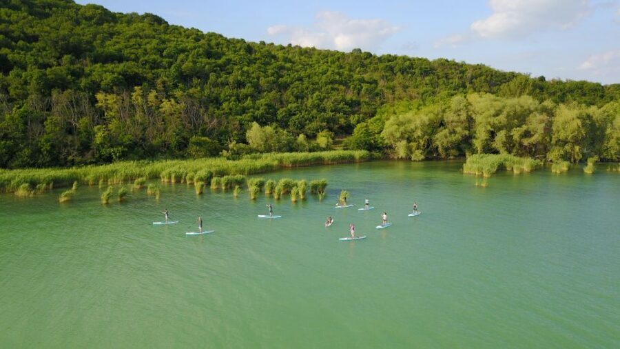 Lake Balaton: Paddle Board Tour of Tihany National Park - Authentic Experiences & Traveler Insights