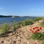 Lake Brombach: Mini cruise with breakfast on the sun deck - Who is this cruise best suited for?
