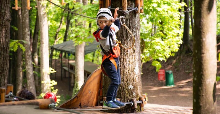 Lake Como Adventure Park Day Access - The Highlights: Why This Adventure Stands Out