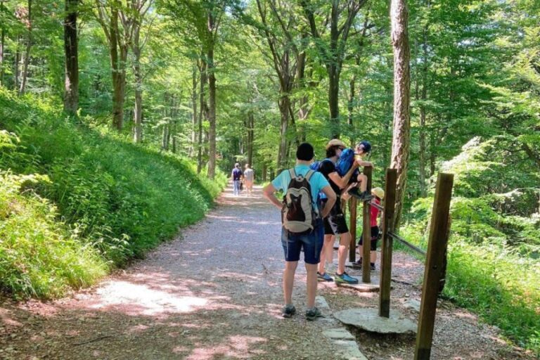 Lake Como: half-day hike in dolomitic mountains over Lecco - Why Choose This Tour?