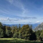 Lake Como: Piani Resinelli Hike with Pickup - What Makes the Hike Special?