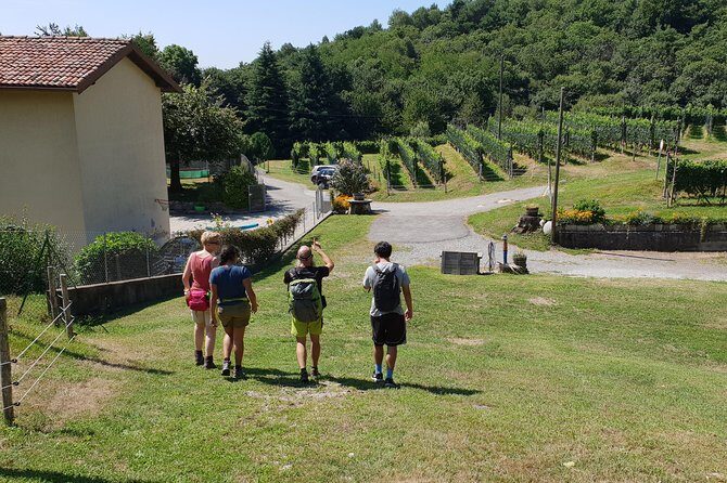 Lake Como Rebels: Adventure day in Spina Verde Regional Park - Visuals and Views: Capture the Magic