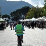 Lake Como: Self Guided eBike Tour - The Itinerary: What You Can Expect