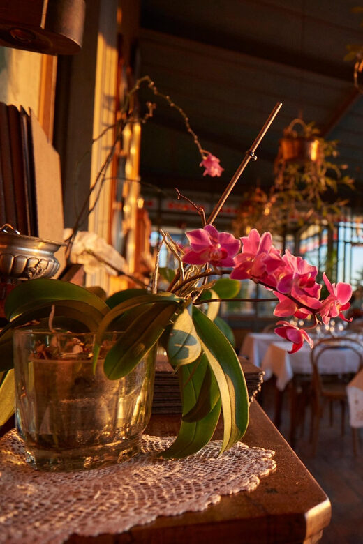 Lake Como Wine with a view - A Closer Look at the Experience