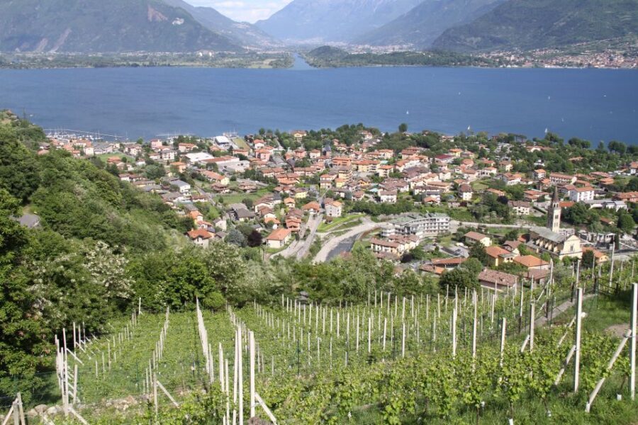Lake Como: Winery Tour with Wine Tasting - The Detailed Itinerary