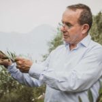 Lake Garda nature, cuisine, culture and history. - Practical Considerations