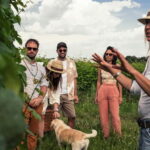 Lake Garda: Pic Nic in the vineyard with wine tasting - What Traveling Styles Will Love