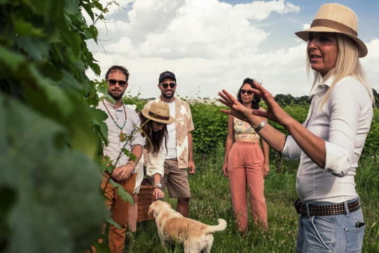 Lake Garda: Pic Nic in the vineyard with wine tasting - What Traveling Styles Will Love