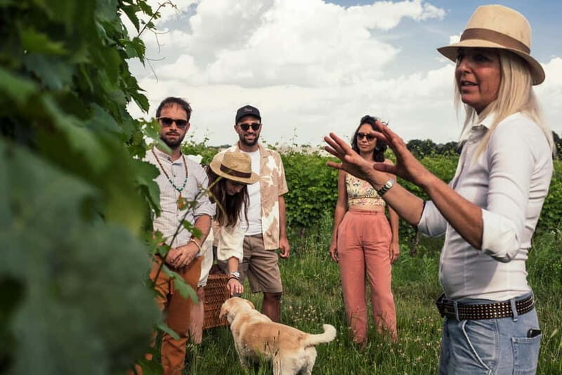 Lake Garda: Pic Nic in the vineyard with wine tasting - What Traveling Styles Will Love