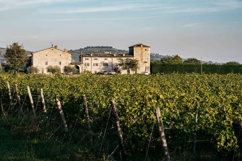 LAKE GARDA: VINEYARD AND WINERY TOURS - The Itinerary in Detail