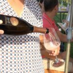 Lake Garda: Wine and Food Tastings in the Vineyards - The Setting: Scenic and Relaxing