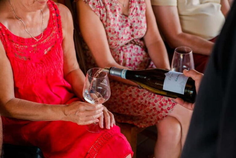 Lake Garda: Winery Tour & Wine Tasting with Local Delicacies - Overview of the Experience