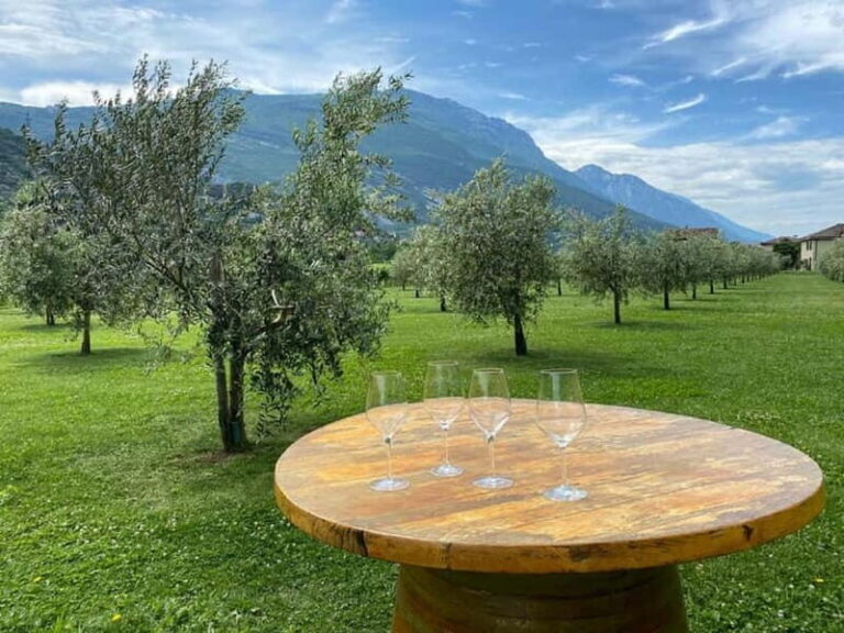 Lake Garda: Winery Visit with Wine and Olive Oil Tasting - Final Thoughts
