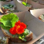 Lake Nemi: Herbs of the Moon Sensory Farm Visit - Who Should Consider This Tour?