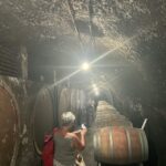 Lake of Bolsena: Private Cellar Tour and Wine Tasting - The Quality & Value