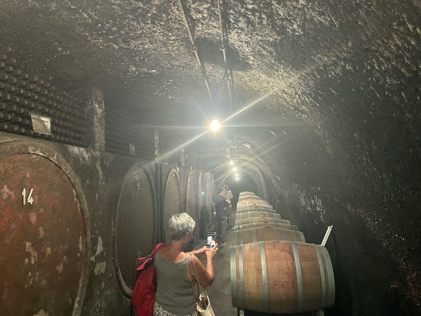 Lake of Bolsena: Private Cellar Tour and Wine Tasting - The Quality & Value