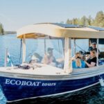 Lake Saimaa story cruise by Ecoboat in Puumala - Experience Deep Dive: What Makes This Cruise Special