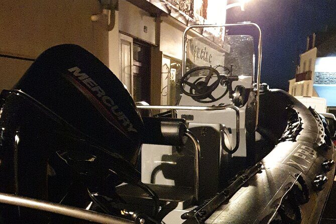 Lake Zurich mini boat tour / by night! - Why Book This Tour?
