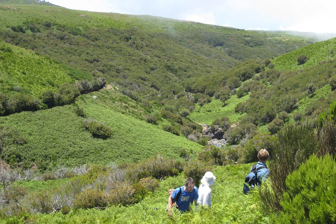 Lakes of Madeira- Alecrim Full day walk - The Details of the Alecrim Full Day Walk