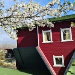 Lakeside: Upside Down House Entry Ticket - Analyzing the Experiences Value