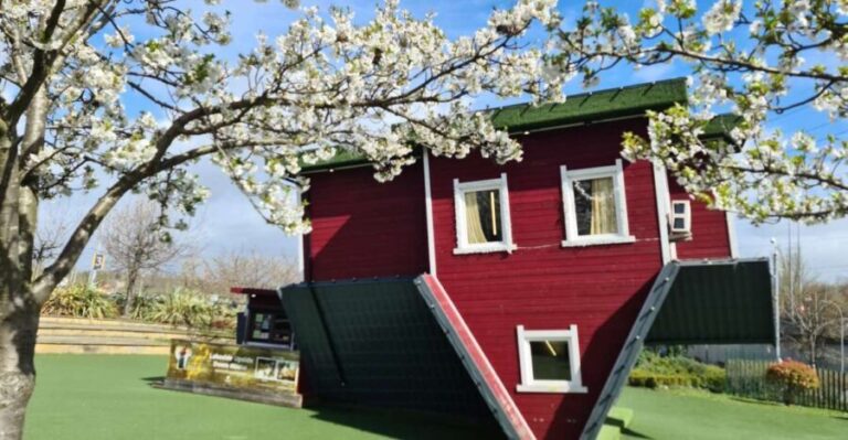 Lakeside: Upside Down House Entry Ticket - Analyzing the Experiences Value