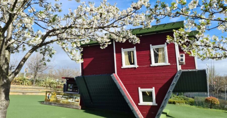Lakeside: Upside Down House Entry Ticket - Analyzing the Experiences Value