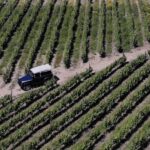 Lamego: Quinta da Portela de Baixo Winery Tour and Tasting - The Practicalities