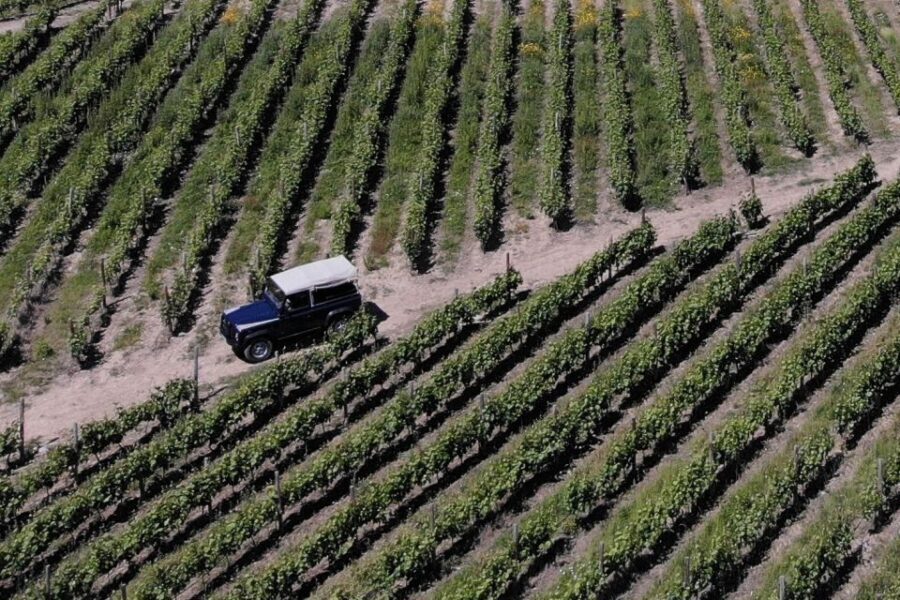 Lamego: Quinta da Portela de Baixo Winery Tour and Tasting - The Practicalities