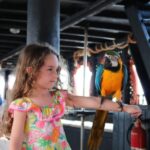 Lampedusa: Pirate Ship Boat Tour with Lunch and Music - Pricing and Value