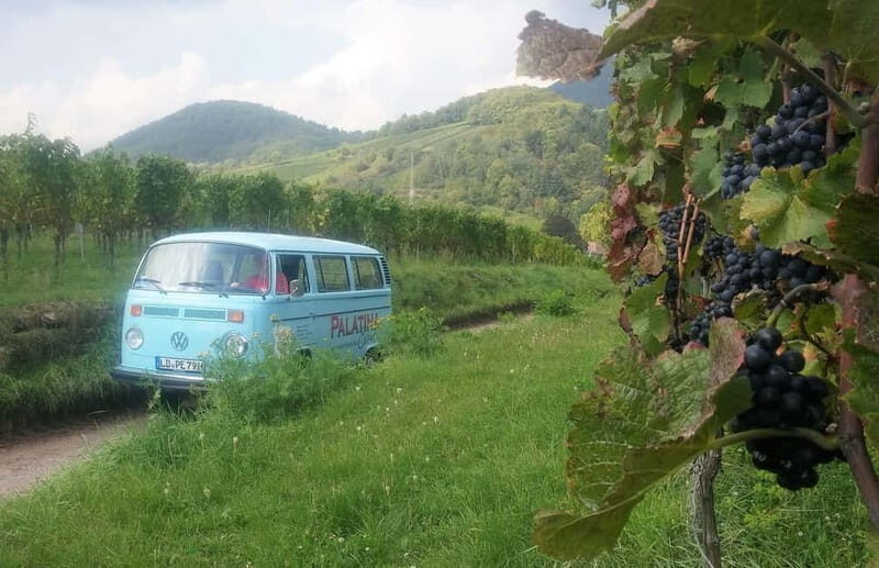 Landau: Tour in a vintage VW bus through the Palatinate wine country - The Experience of Riding in a Vintage VW