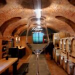 Langhe e Monferrato: Tour & Wine tasting of Agliano Wines - Why This Tour Works Best