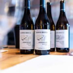 Langhe: Private Wine Tour, One day with a Sommelier - The Itinerary Breakdown: From Vineyards to Valleys