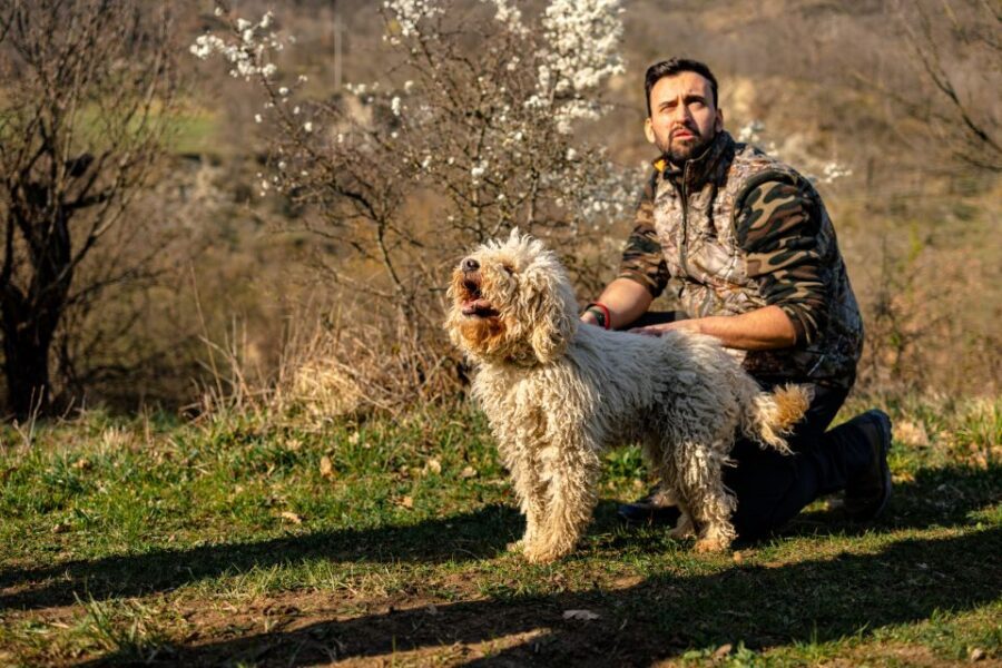 Langhe: Sunset Truffle Hunting with Tasting and Wine - Deep Dive into the Itinerary