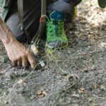 Langhe: Truffle Hunting Experience - Authenticity and Reviews