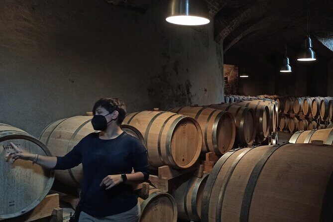 Langhe Wine & Food Tour from Turin: Barolo and More - Practical Tips for Travelers