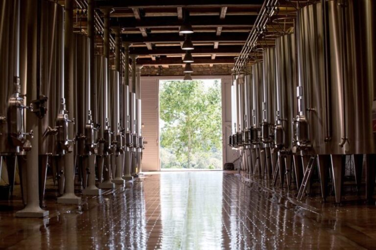 Languedoc: Heritage Tour & Tasting at Domaine de Baronarques - Who Will Love This Tour?