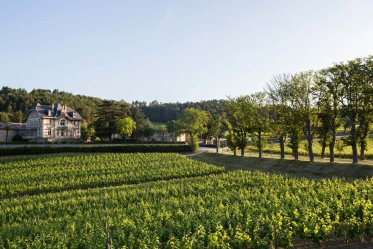 Languedoc: Tour and Tasting at Domaine de Baronarques - Who Will Enjoy This Tour?