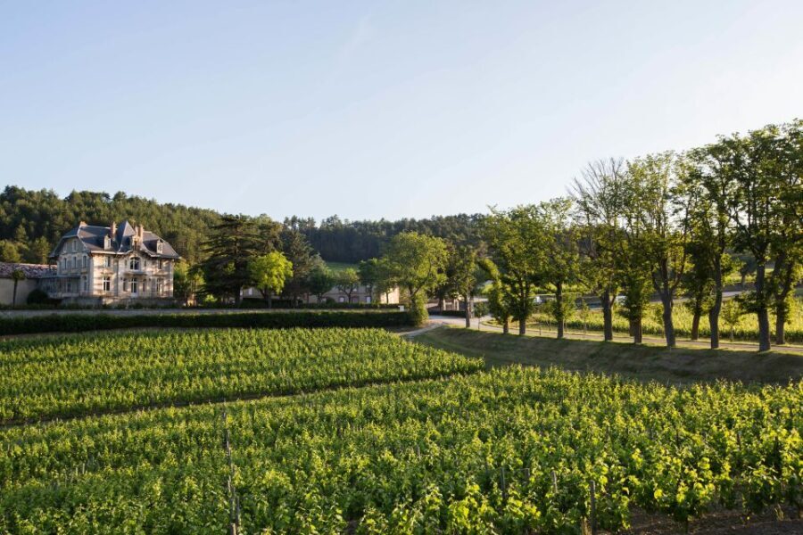 Languedoc: Tour and Tasting at Domaine de Baronarques - Who Will Enjoy This Tour?