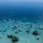 Lanzarote: Beginner Scuba Diving from the Beach - Detailed Breakdown of the Itinerary