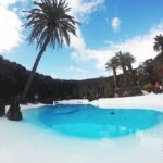 Lanzarote: Day Tour for Cruise Passengers - Who Will Love This Tour