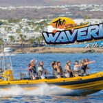 Lanzarote: Dolphin Watching by speedboat - Authentic Experiences and Real Traveler Insights
